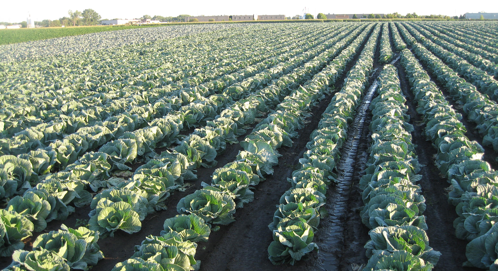 Metina Singapore Pvt. Ltd. Home Page