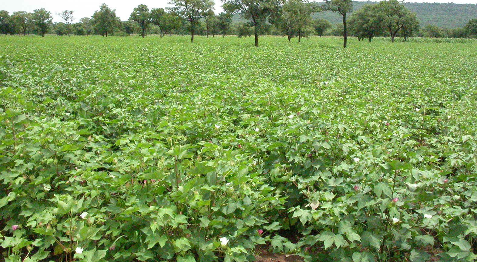 Metina Singapore Pvt. Ltd. Home Page