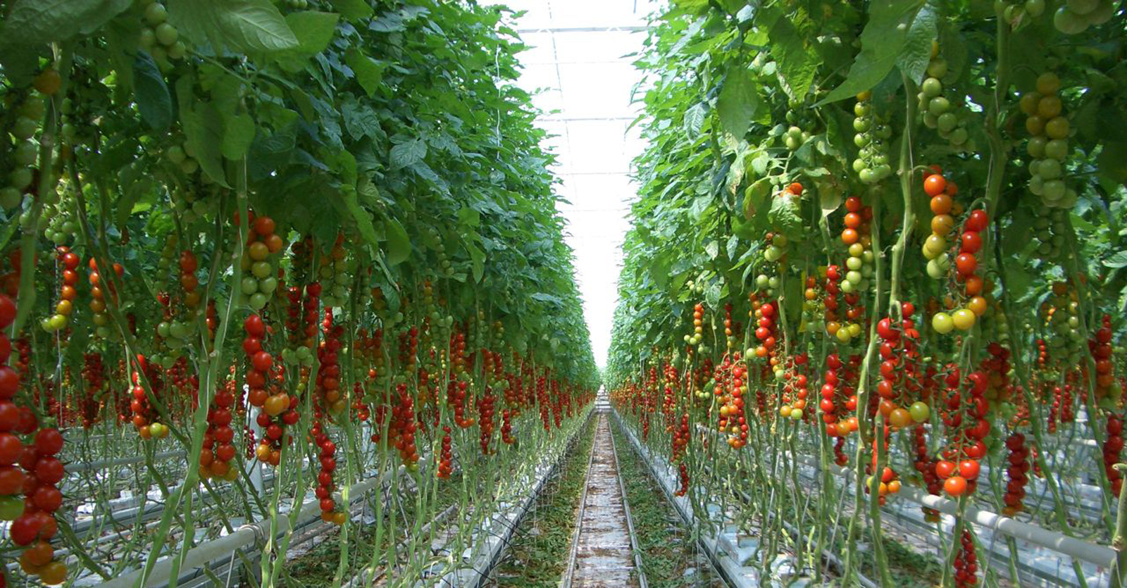 Metina Singapore Pvt. Ltd. Home Page